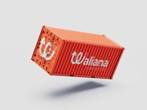 Cchora™ Design Misfits