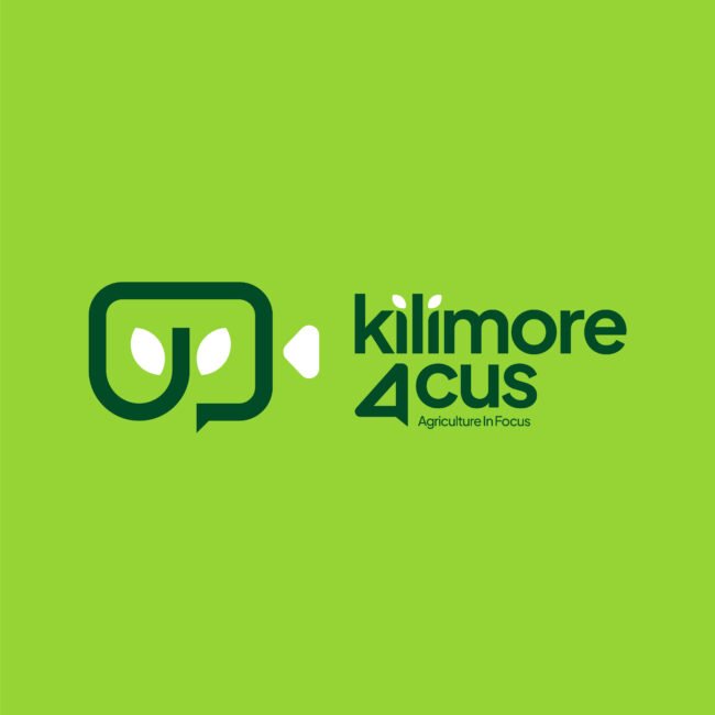 Cchora™ Design Misfits